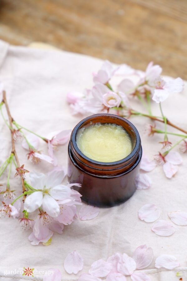 Homemade Hand Salve Recipe for Dry Skin - Garden Therapy