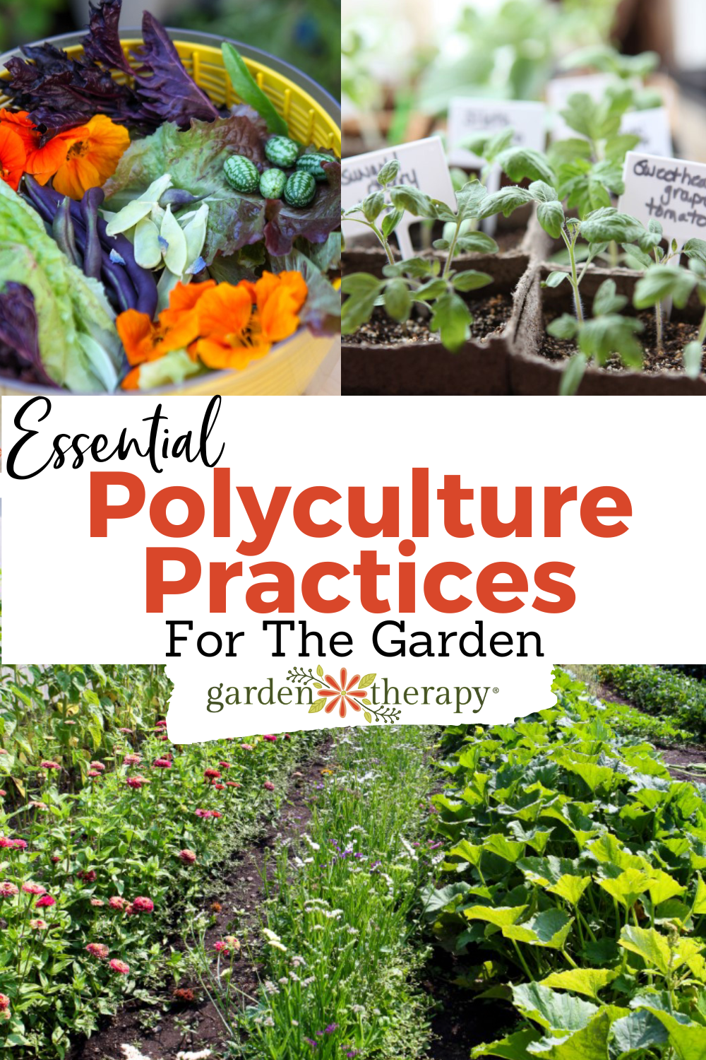 Essential Polyculture Practices for the Garden - Garden Therapy