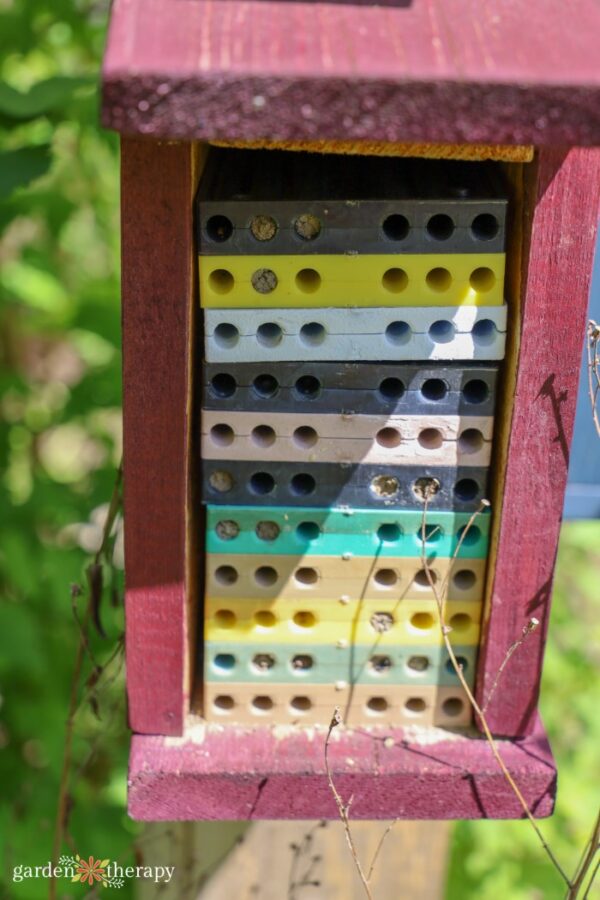 Build a Bee House for Solitary Bees - Garden Therapy