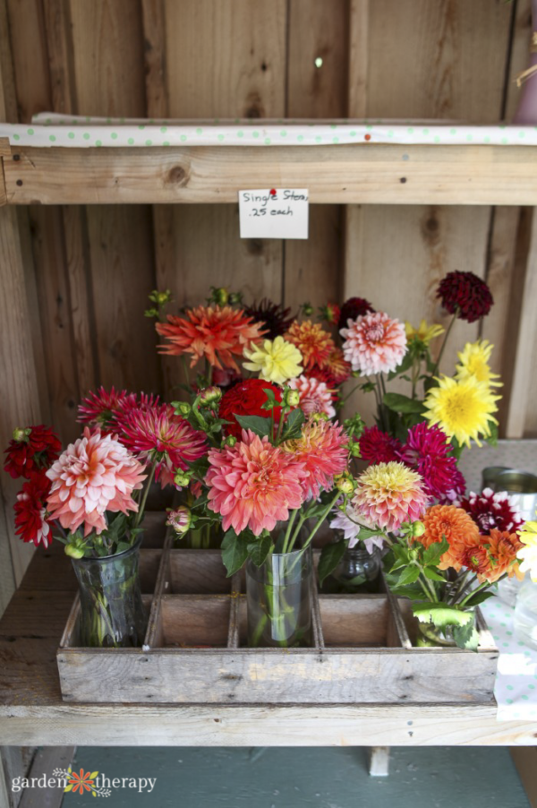 How to Make a Dopamine Menu for Gardening - Garden Therapy