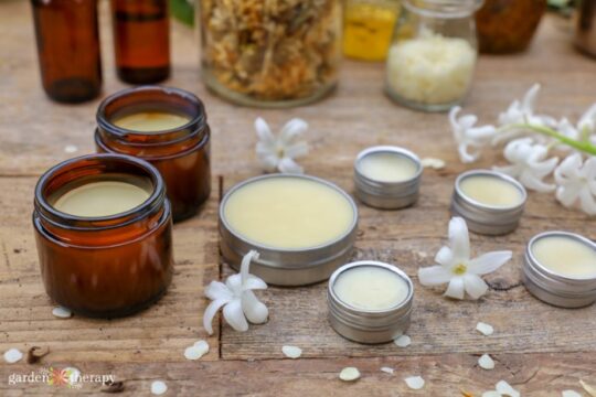 11 of the Best Salve and Balm Recipes for Your Skin - Garden Therapy