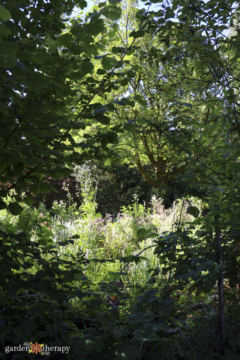 Plant a Backyard Food Forest for an Abundant Source of Food - Garden ...