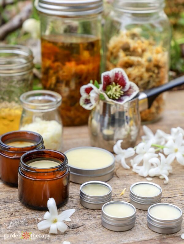 11 of the Best Salve and Balm Recipes for Your Skin - Garden Therapy