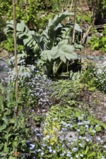 The 25 Best Practices for Regenerative Gardening - Garden Therapy