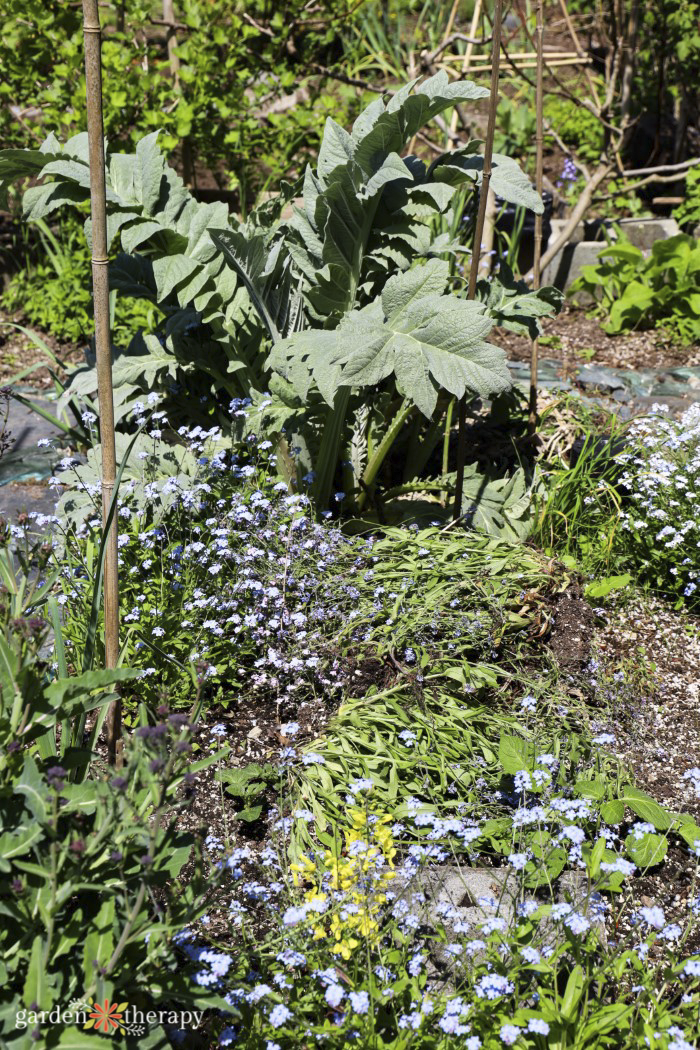 The 25 Best Practices for Regenerative Gardening - Garden Therapy