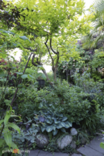 What is Chaos Gardening? And Why You Should Try It - Garden Therapy