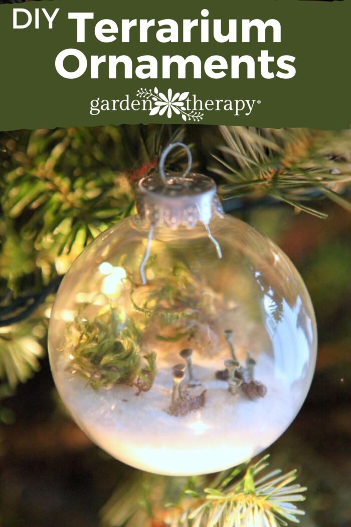 Crafty Terrarium Ornaments for Your Christmas Tree - Garden Therapy