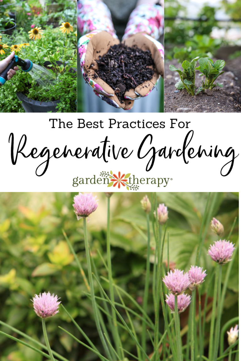 The 25 Best Practices for Regenerative Gardening - Garden Therapy