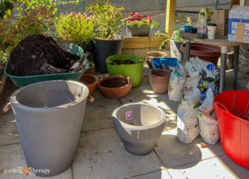 How to Properly Recycle Plant Pots (And Upcycle Them!) - Garden Therapy