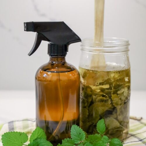 Make This Lemon-Balm Scented DIY Cleaning Spray in Minutes