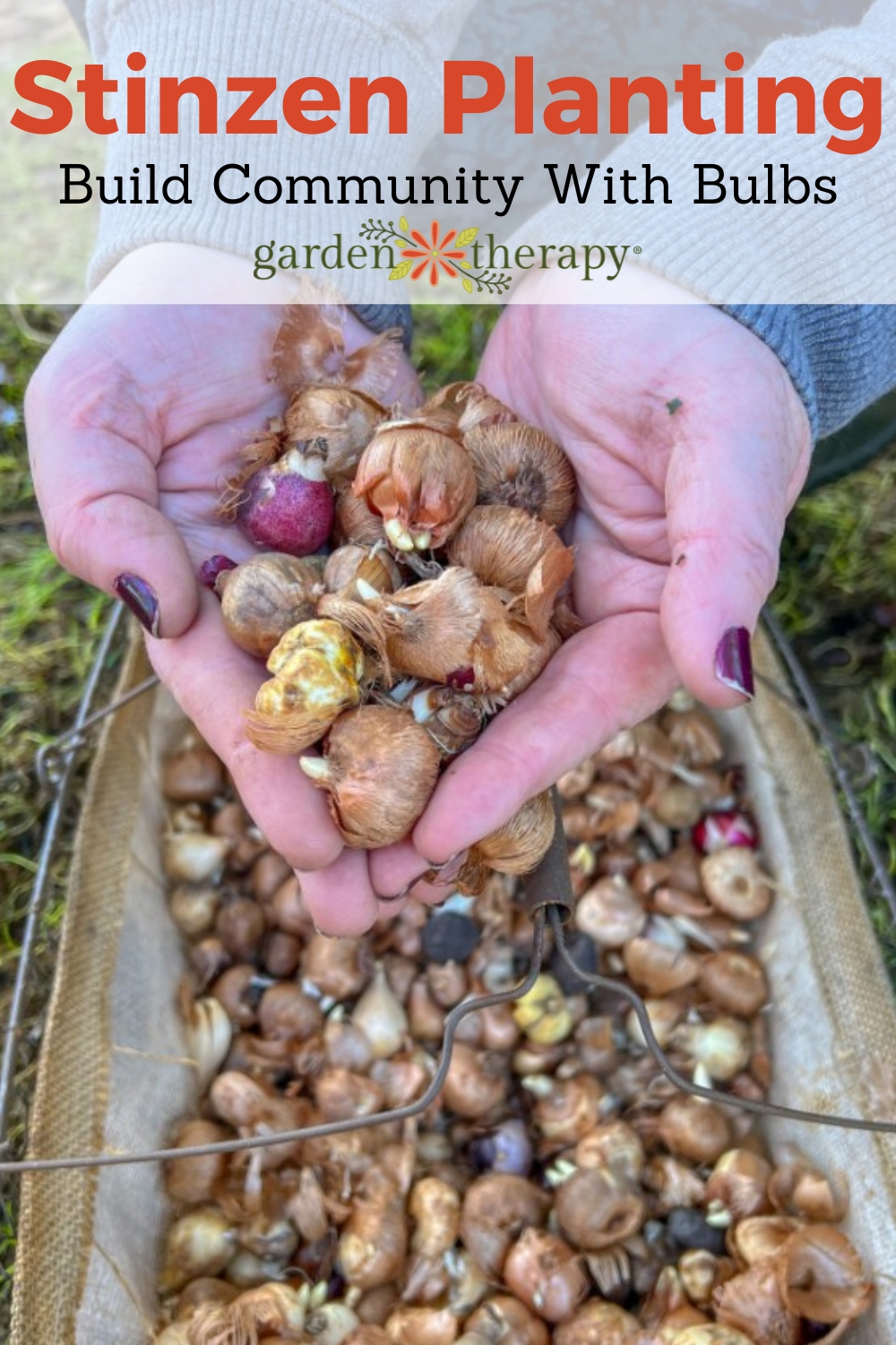 Stinzen Planting: Build Community With Bulbs and Your Sidewalk Strip ...
