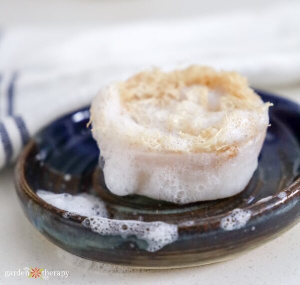 Exfoliate with Homemade Loofah Soap (Made from a Vegetable!) - Garden ...