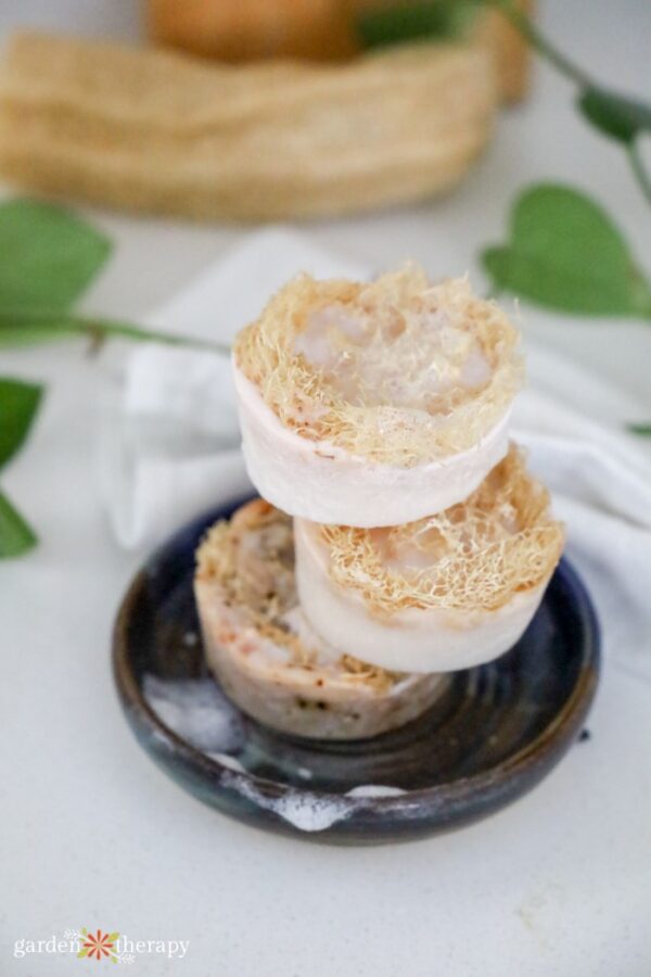 Exfoliate with Homemade Loofah Soap (Made from a Vegetable!) - Garden ...