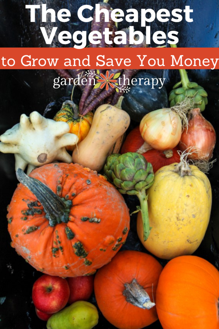 Save on Groceries—These Are the Cheapest Vegetables to Grow