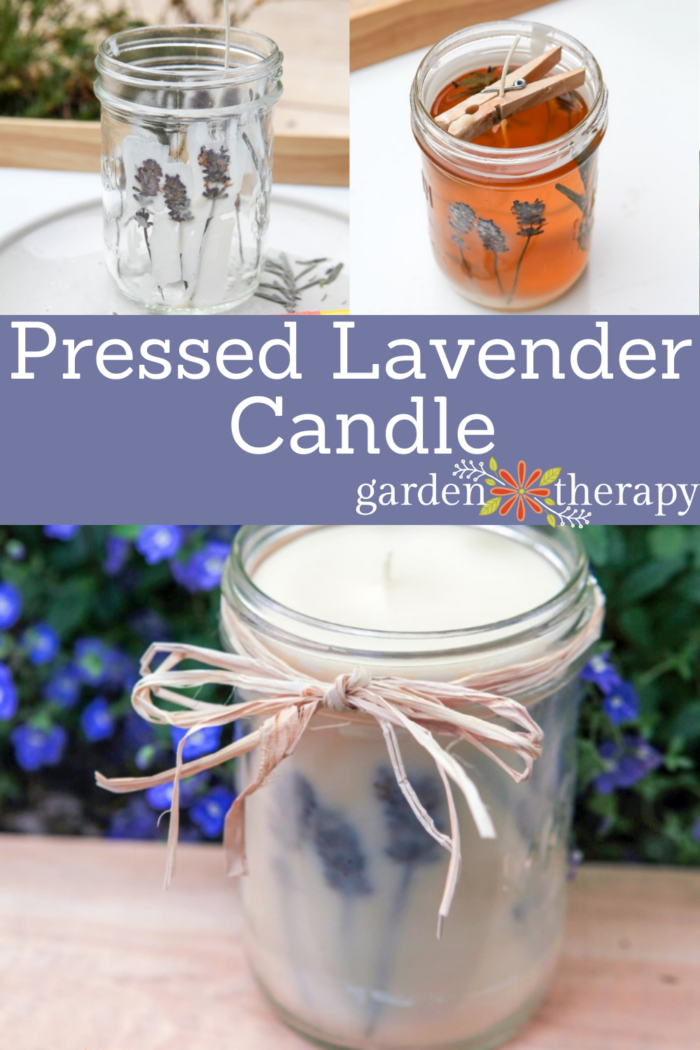Homemade Pressed Lavender Candle (With Real Lavender!) - Garden Therapy