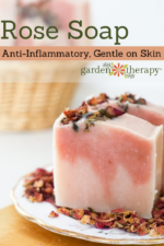 Gentle on the Skin Rose Soap Recipe - Garden Therapy