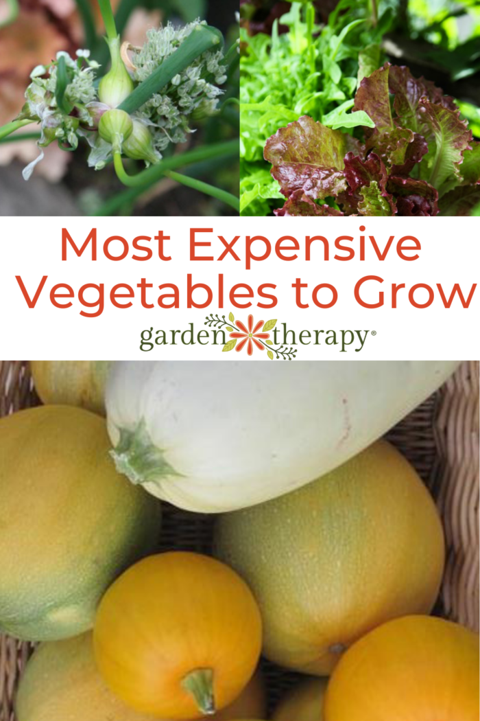 The 7 Most Expensive Vegetables That Aren't Worth Growing