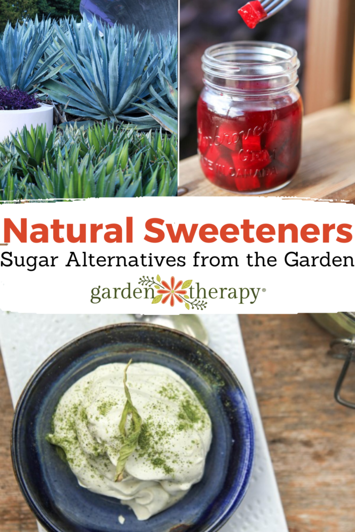 15+ Natural Sweeteners From the Garden - Garden Therapy