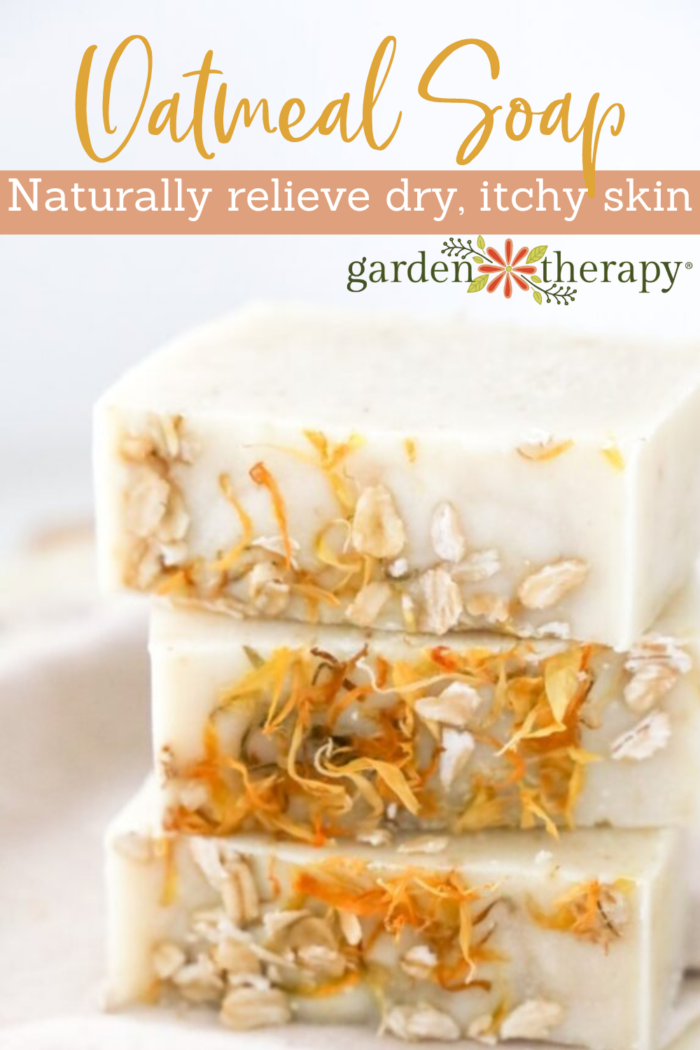 Oatmeal Soap Recipe: Naturally Relieve Dry, Itchy Skin - Garden Therapy