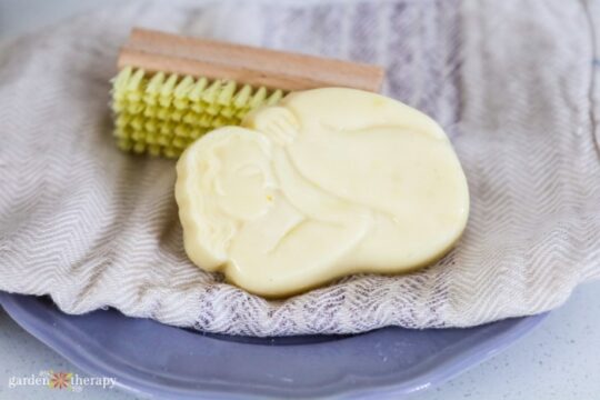 Budget-Friendly Soap Making With Lard Soap - Garden Therapy