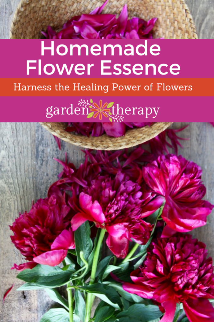 Homemade Flower Essences: Harness the Healing Energy of Flowers ...