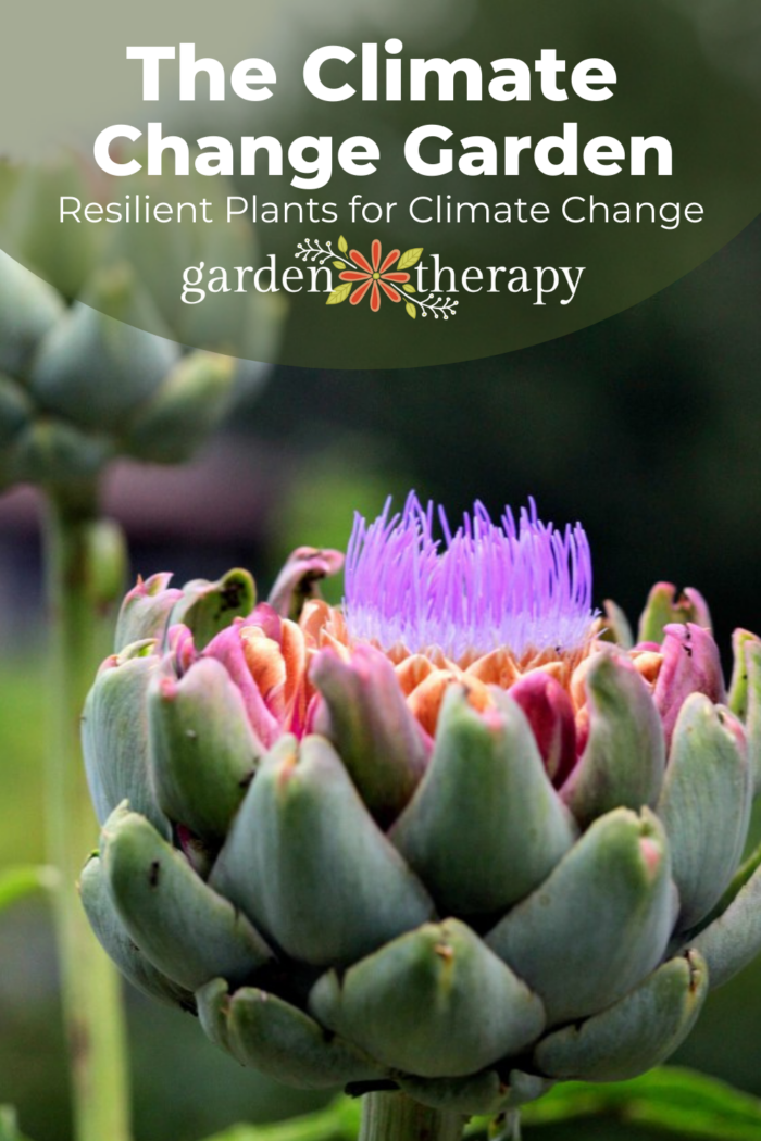 Planting for Climate Change: Resilient Plants + Hardy Vegetables