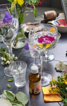 Homemade Flower Essences: Harness the Healing Energy of Flowers ...