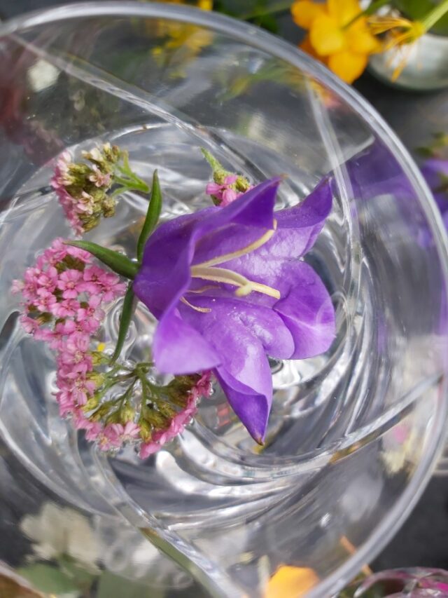 Homemade Flower Essences: Harness the Healing Energy of Flowers ...