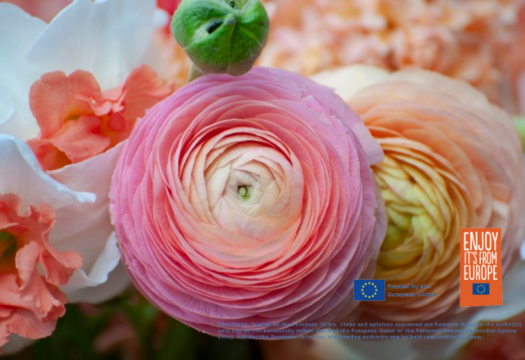 Ditch the Guilt and Grow Summer Flowering Bulbs as Annuals - Garden Therapy
