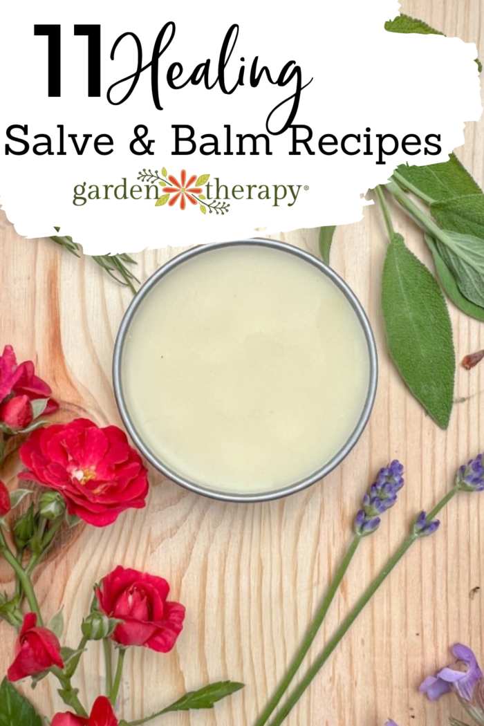 11 of the Best Salve and Balm Recipes for Your Skin - Garden Therapy