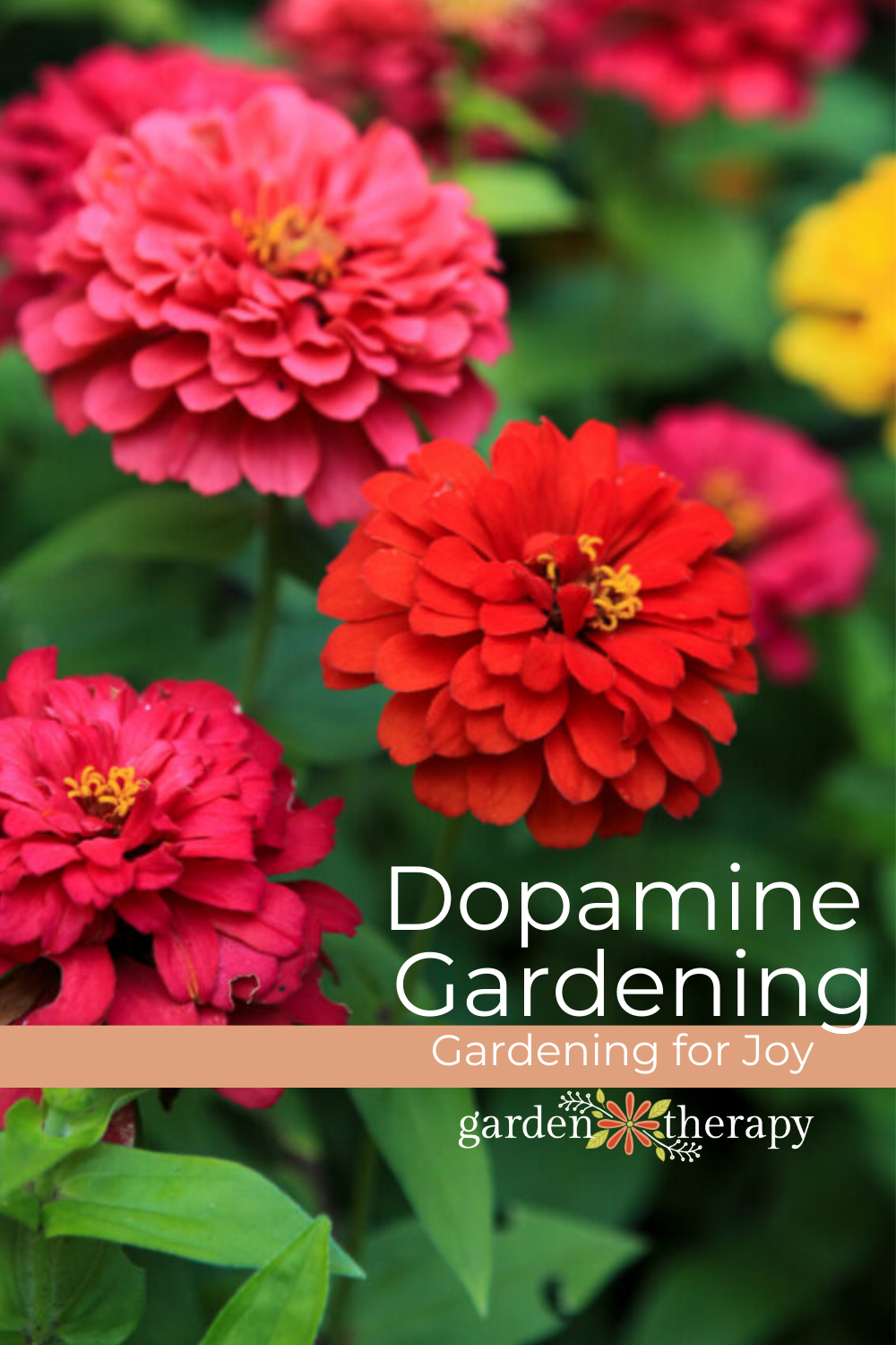 Try Dopamine Gardening for a Feel-Good, Joyful Garden - Garden Therapy