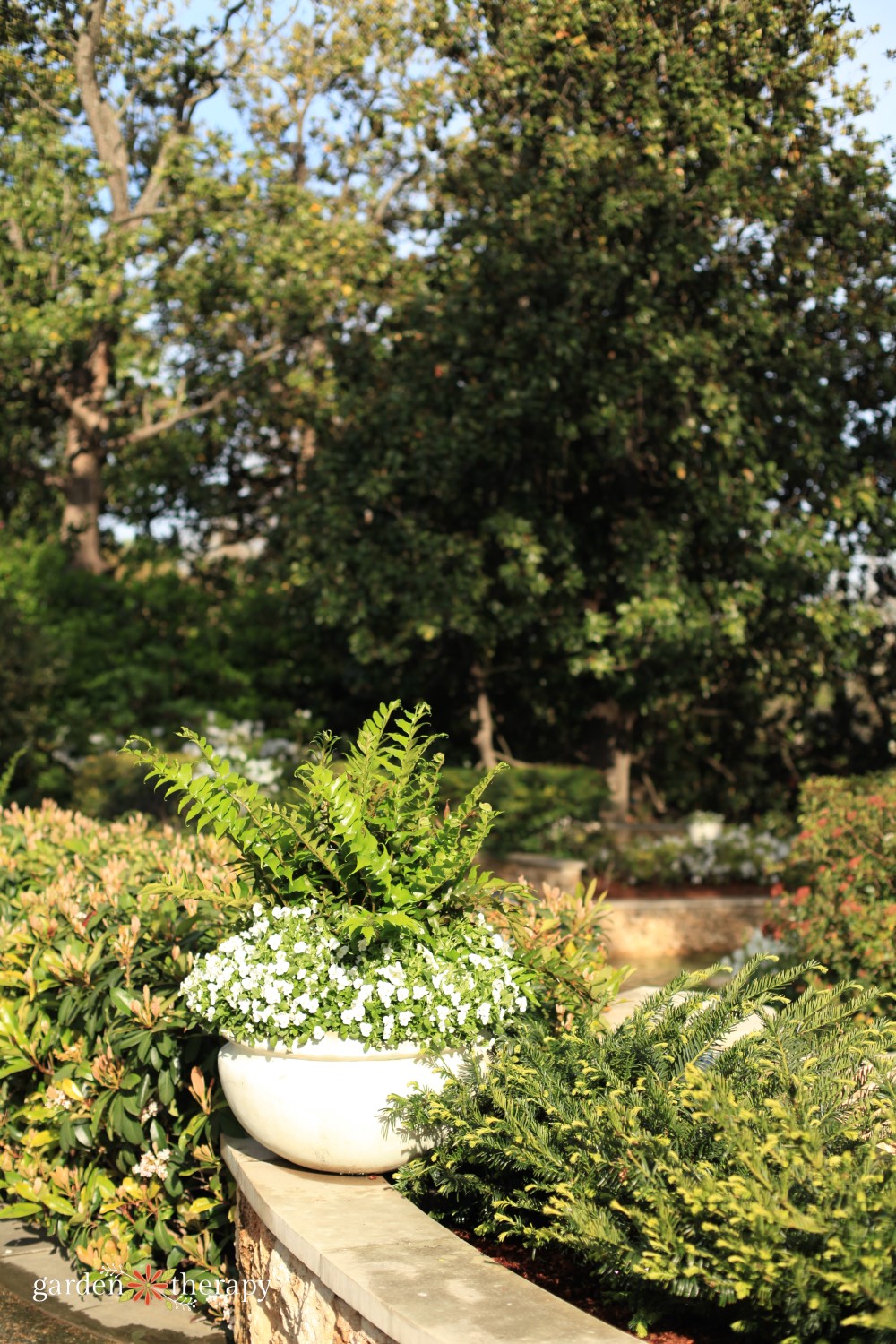 Gardening in the Moonlight: Plant Your Own Ethereal Moon Garden ...