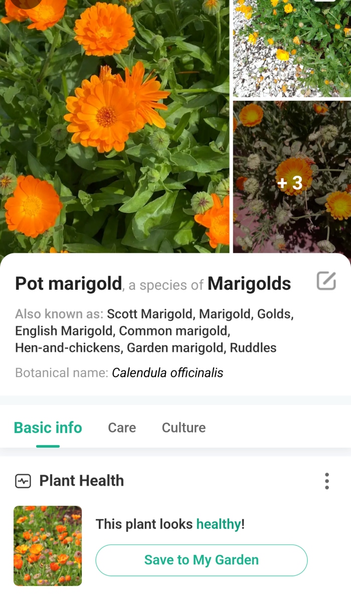 From Seed to Screen: Top 12 Gardening Apps for Green Thumbs - Garden ...