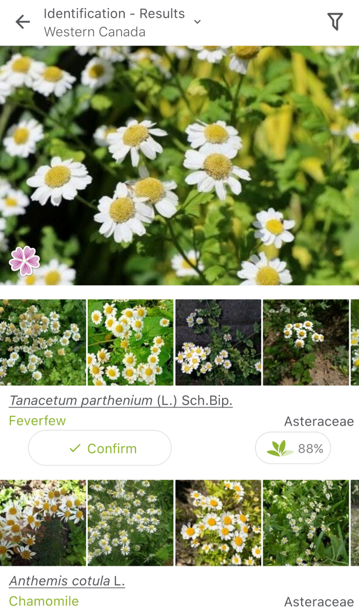 From Seed to Screen: Top 12 Gardening Apps for Green Thumbs - Garden ...