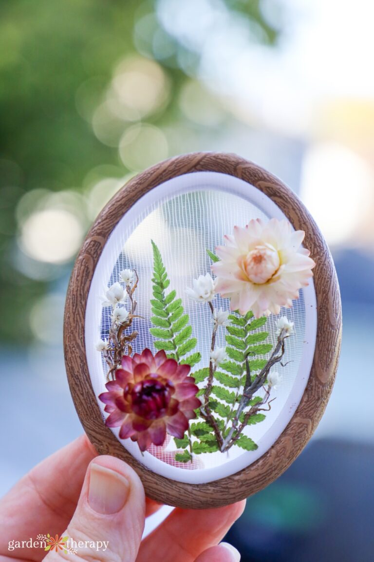 Create Dried Flower Art With Embroidery Hoops - Garden Therapy