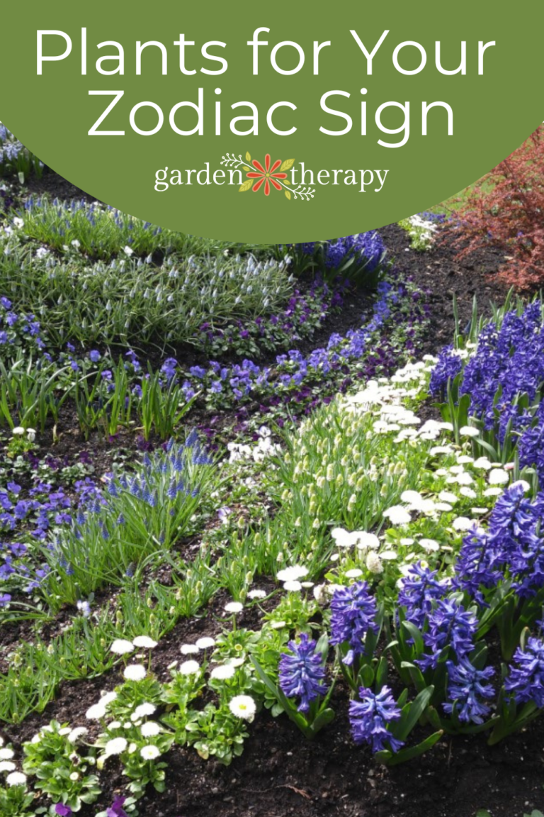 The Celestial Garden: A Guide to Planting by the Signs - Garden Therapy