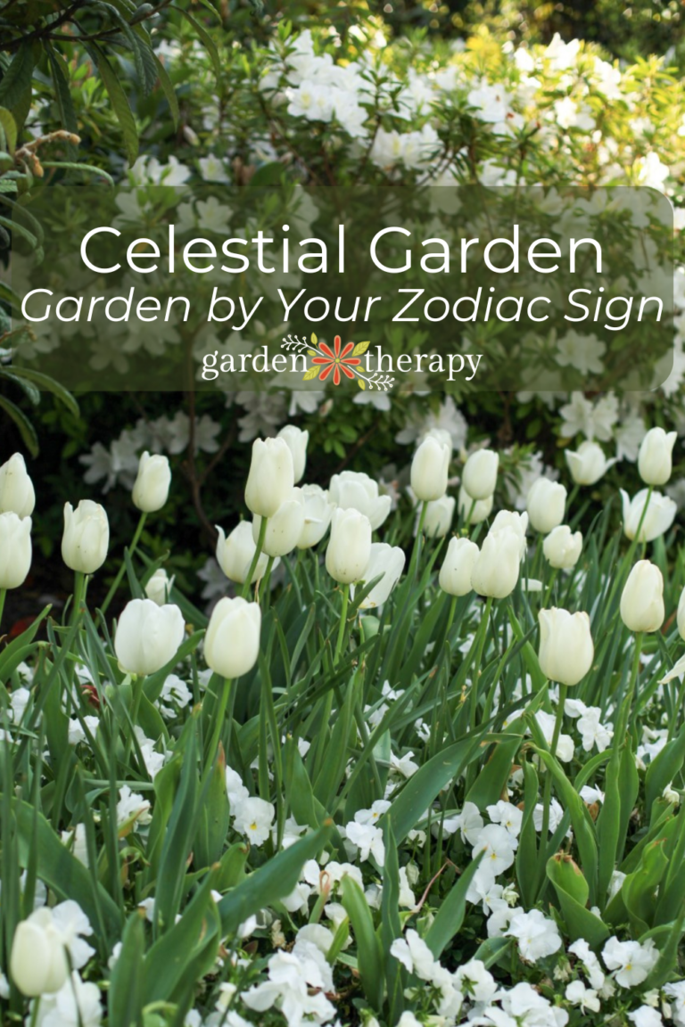 The Celestial Garden: A Guide to Planting by the Signs - Garden Therapy