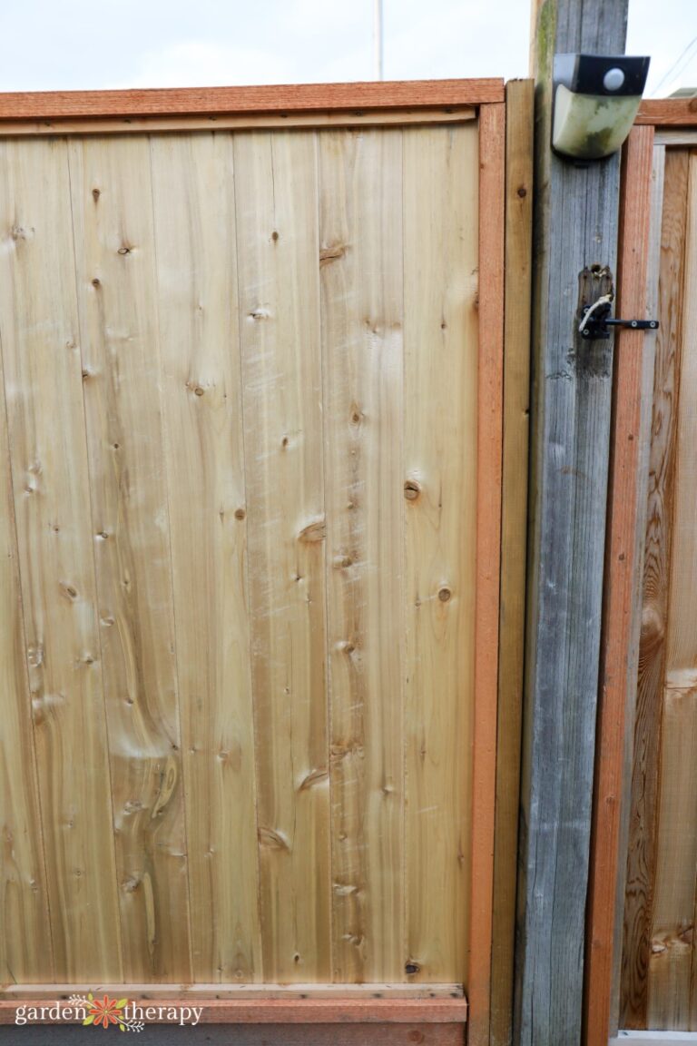 DIY Affordable Cedar Swing Gate Design for a Backyard Driveway