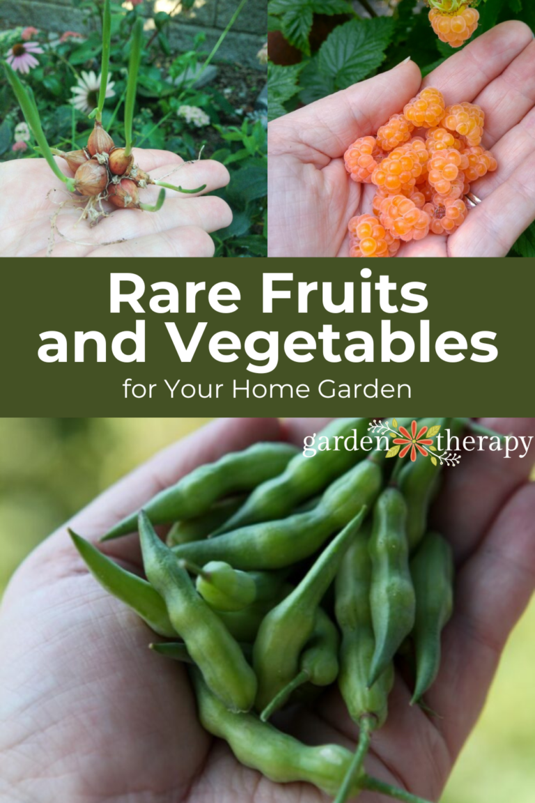 Rare Vegetables and Fruits You Can Only Grow - Garden Therapy