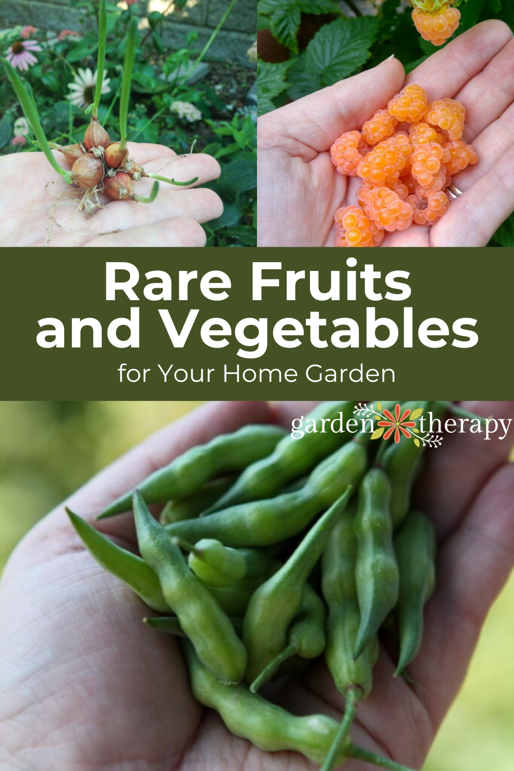 Rare Vegetables and Fruits You Can Only Grow - Garden Therapy