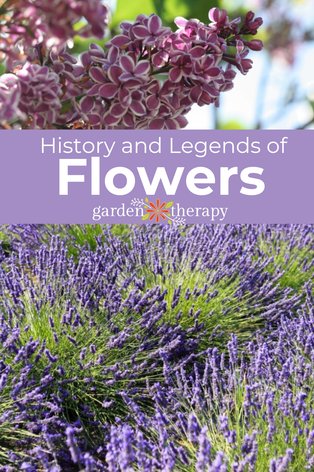 Charming Flower Legends & Histories From Around the World - Garden Therapy