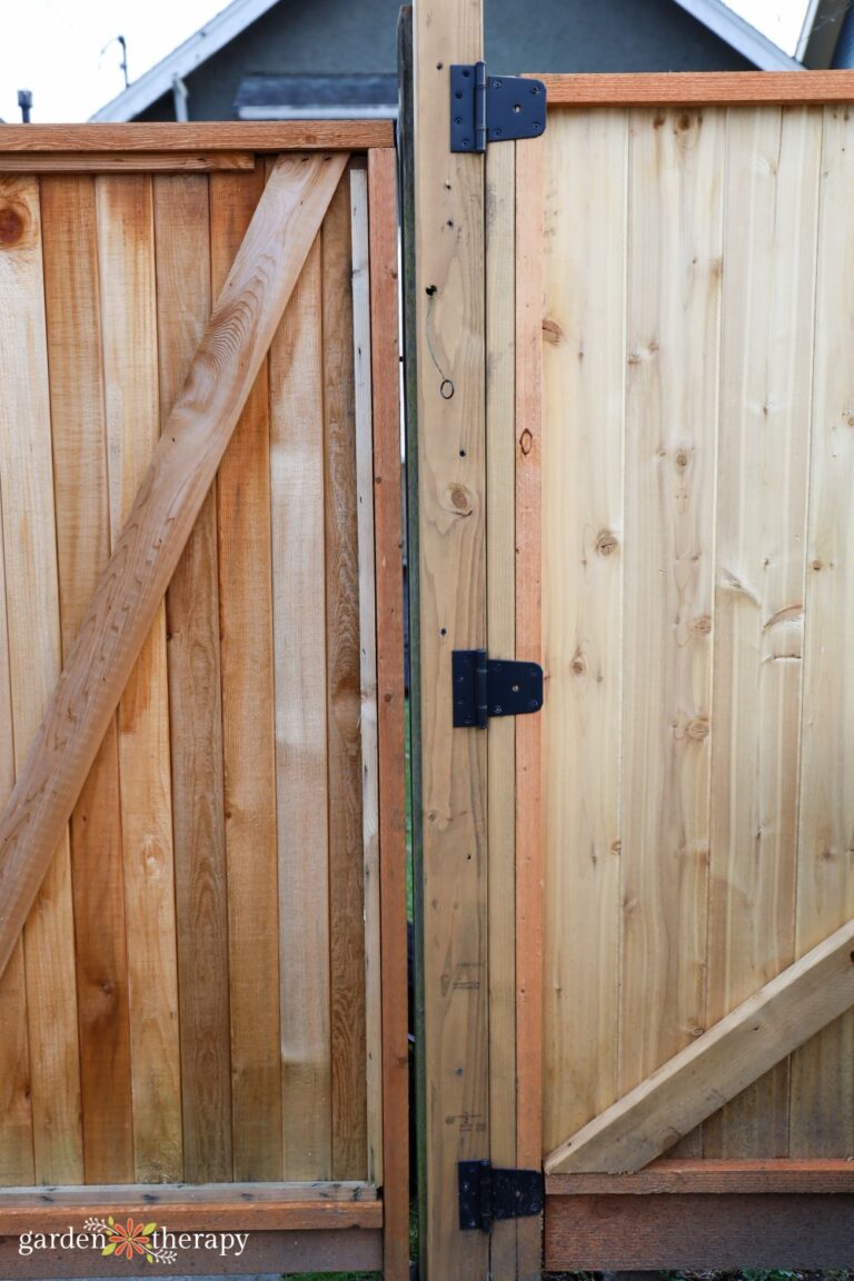 DIY Affordable Cedar Swing Gate Design for a Backyard Driveway