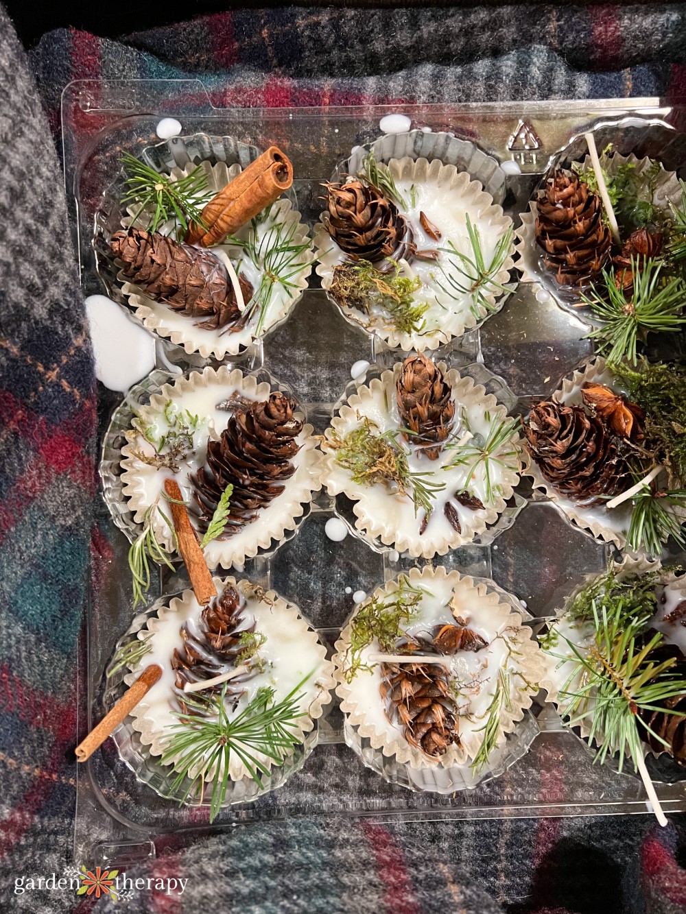 Make These Simple and Inexpensive Wax Camping Fire Starters - Garden ...