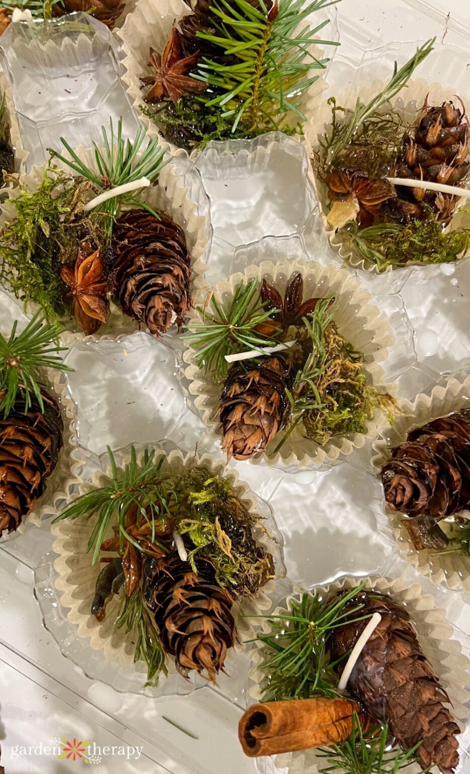 Make These Simple and Inexpensive Wax Camping Fire Starters - Garden ...