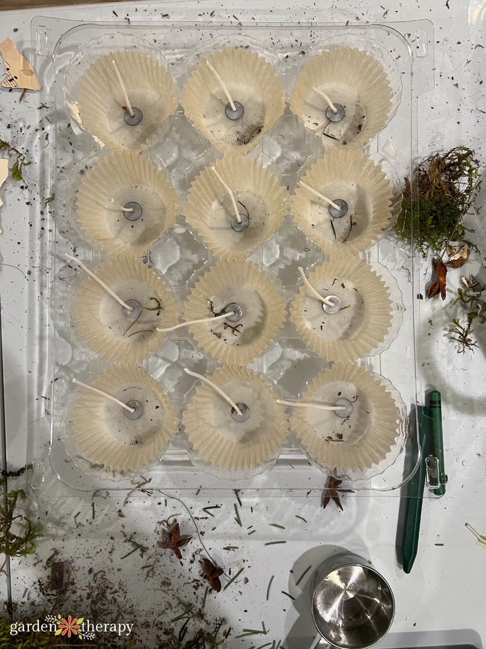 Make These Simple and Inexpensive Wax Camping Fire Starters - Garden ...