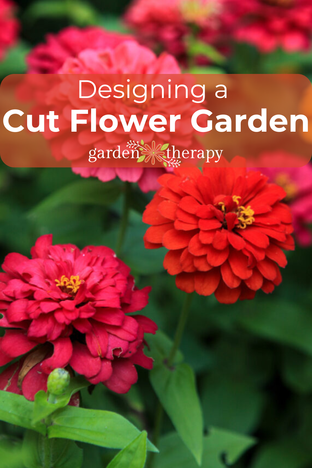 How to Design a Cut Flower Garden - Garden Therapy