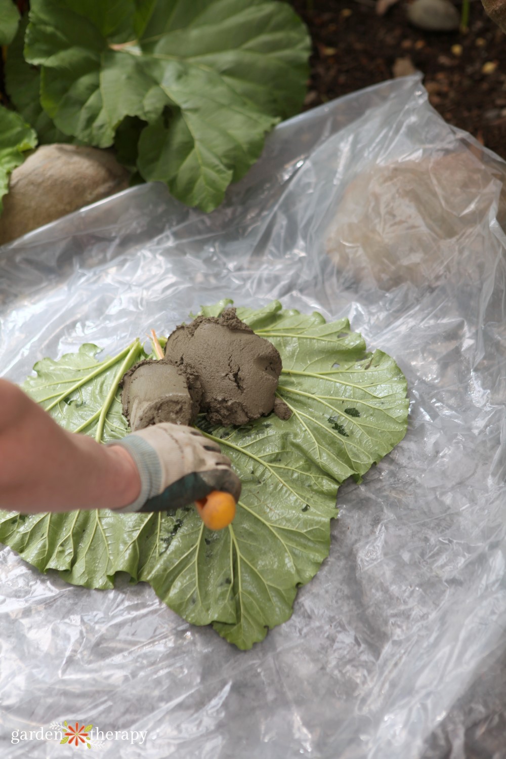 Make This Simple Rhubarb Leaf Concrete Bird Bath - Garden Therapy