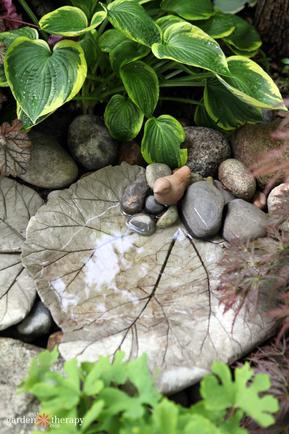 Make This Simple Rhubarb Leaf Concrete Bird Bath - Garden Therapy