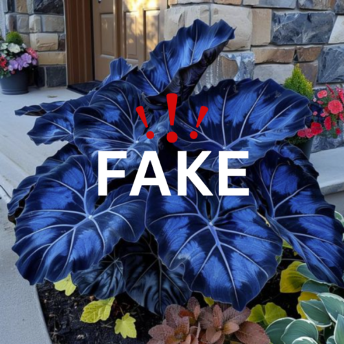 Beware: AI Gardening Content Has Taken Over, and We Should Be Worried ...