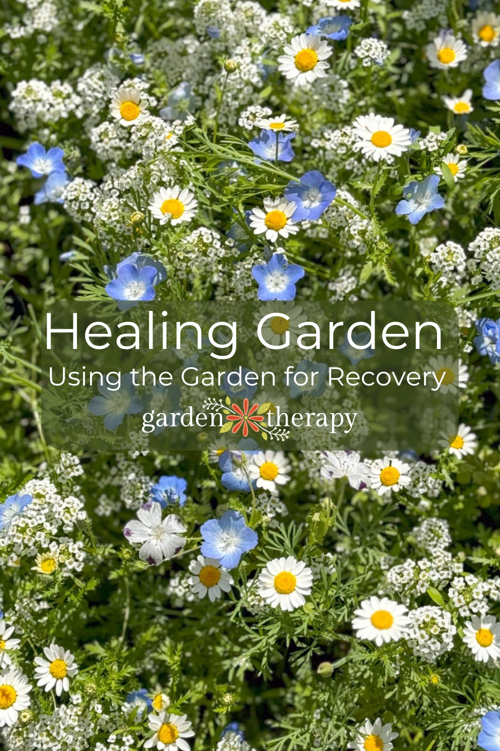 The Healing Power of Gardening: Using the Garden for Recovery - Garden ...